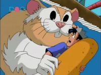 Shrinking GIFs - Get the best gif on GIFER