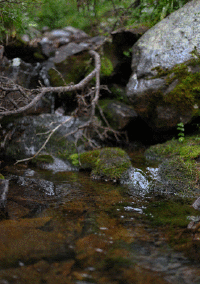 Wasserfall GIFs - Get the best gif on GIFER