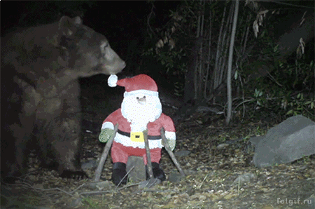 Santaup GIFs - Get the best gif on GIFER