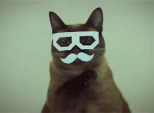 Skifcha GIFs - Get the best gif on GIFER