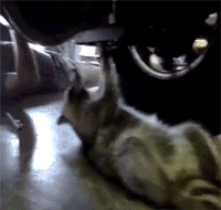 Mechanic GIFs - Get the best gif on GIFER