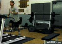Gimnasio GIFs - Get the best gif on GIFER