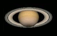 Commons GIFs - Get the best gif on GIFER