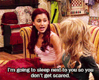 Sam cat GIFs - Get the best gif on GIFER