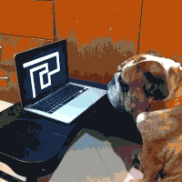 Apathy GIFs - Get the best gif on GIFER