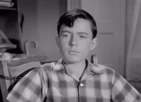 Cleaver GIFs - Get the best gif on GIFER