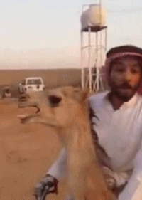 Saudi GIFs - Obtenez le meilleur gif sur GIFER