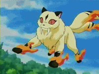 Kirara GIFs - Get the best gif on GIFER