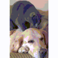 Relax GIFs - Get the best gif on GIFER