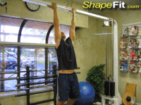 Bicep GIFs - Get the best gif on GIFER