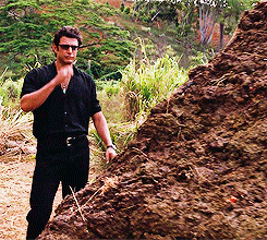 Huge dump GIF - Conseguir o melhor gif em GIFER