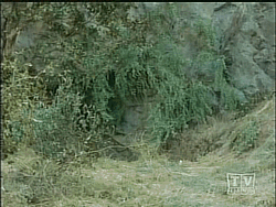 Batcave GIFs - Get the best gif on GIFER