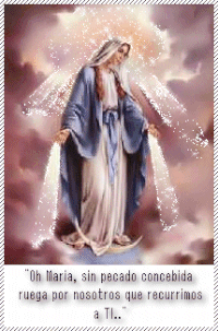 Maria GIFs - Get the best gif on GIFER