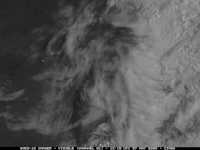 Fog GIFs - Get the best gif on GIFER