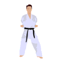 Martial arts GIFs - Get the best gif on GIFER
