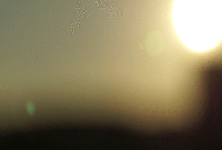 Blur GIFs - Get the best gif on GIFER