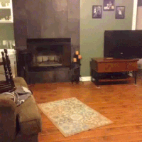 Betrayal GIFs - Get the best gif on GIFER