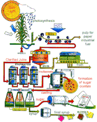 Обработка GIF - Conseguir o melhor gif em GIFER