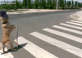 Cross road GIF - Conseguir el mejor gif en GIFER