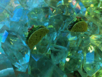 Gem GIFs - Get the best gif on GIFER