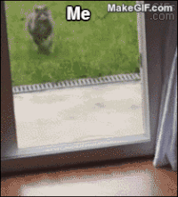 Monday GIFs - Get the best gif on GIFER