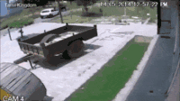 Thief GIFs - Get the best gif on GIFER
