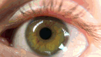 Cluster GIFs - Get the best gif on GIFER