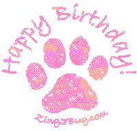 Paw GIFs - Get the best gif on GIFER