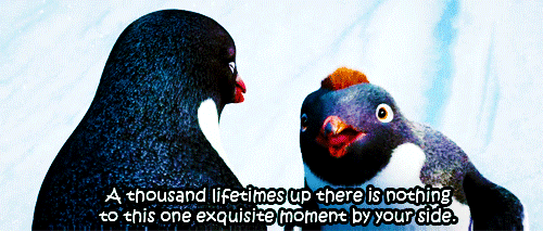Pebblebecause GIFs - Get the best gif on GIFER