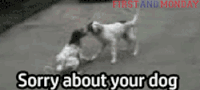 Condolences GIFs - Get the best gif on GIFER