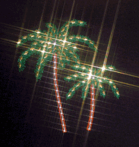 Palm tree GIFs - Get the best gif on GIFER