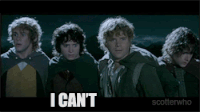 Lotr GIFs - Get the best gif on GIFER