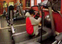 Treadmill GIFs - Get the best gif on GIFER