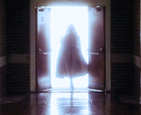 Rota GIFs - Get the best gif on GIFER