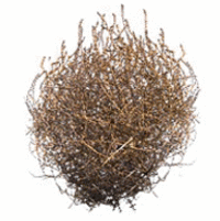 Tumbleweeds GIFs - Get the best gif on GIFER