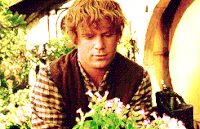 Samwise GIFs - Get the best gif on GIFER