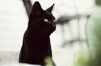 Outside GIFs - Get the best gif on GIFER