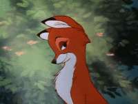 Fox GIFs - Get the best gif on GIFER