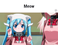 Meowing GIFs - Get the best gif on GIFER