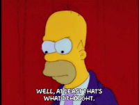 Embarassment GIFs - Get the best gif on GIFER