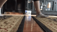 Floors GIFs - Get the best gif on GIFER