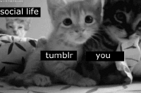 Hehe GIFs - Get the best gif on GIFER