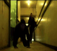 Haywire GIFs - Get the best gif on GIFER