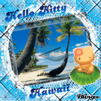 Hawaii GIFs - Get the best gif on GIFER