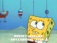 Hooky GIFs - Get the best gif on GIFER