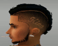 Mohawks GIFs - Get the best gif on GIFER