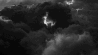Dark GIFs - Get the best gif on GIFER