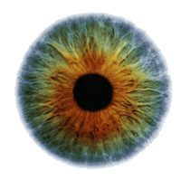 Eyeball GIFs - Get the best gif on GIFER