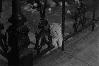 Sitting GIFs - Get the best gif on GIFER