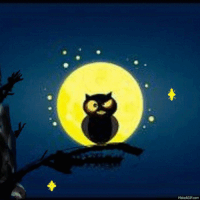 Uhu GIFs - Get the best gif on GIFER
